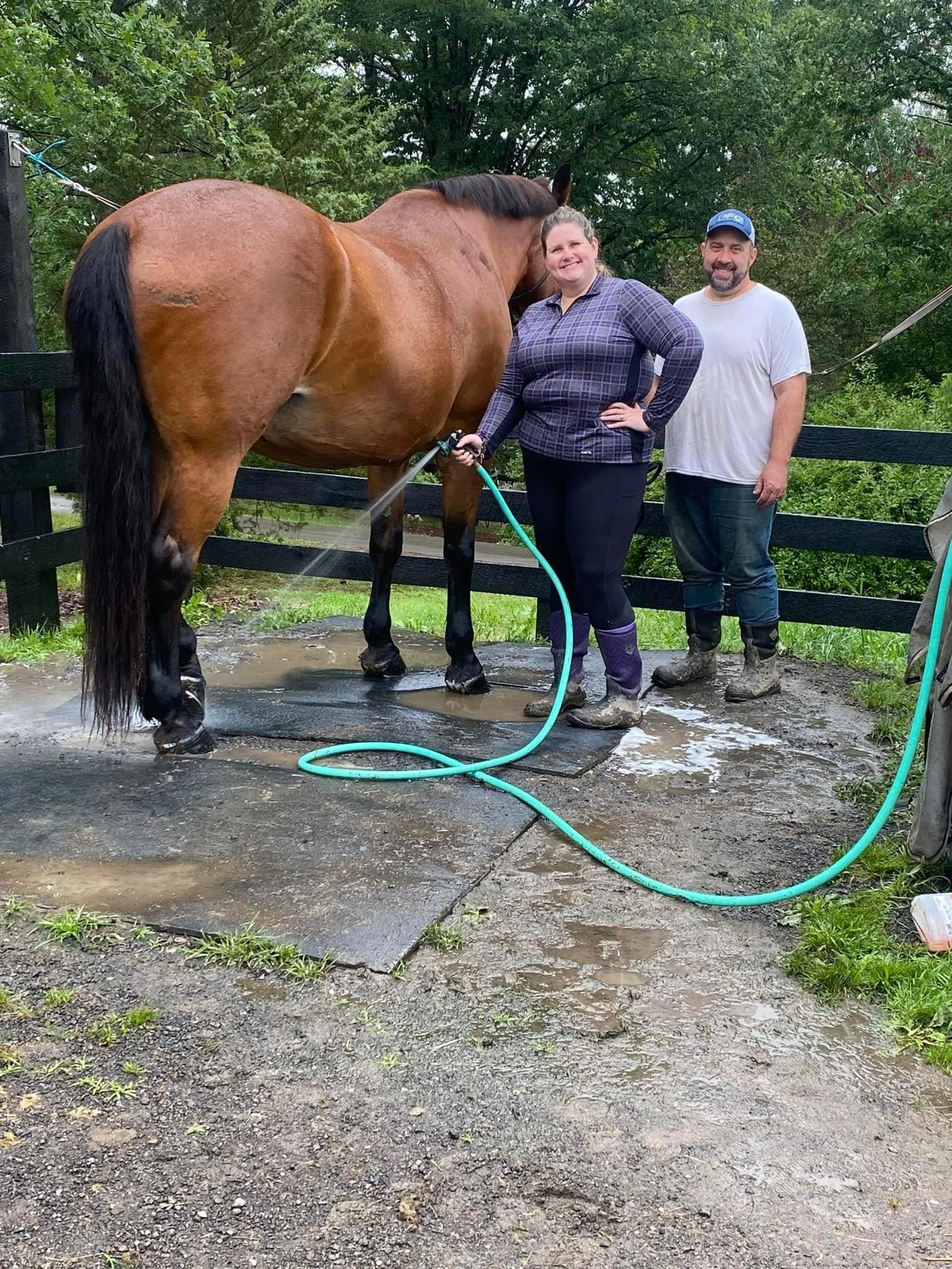 Summer Care — Spring Gap Farm