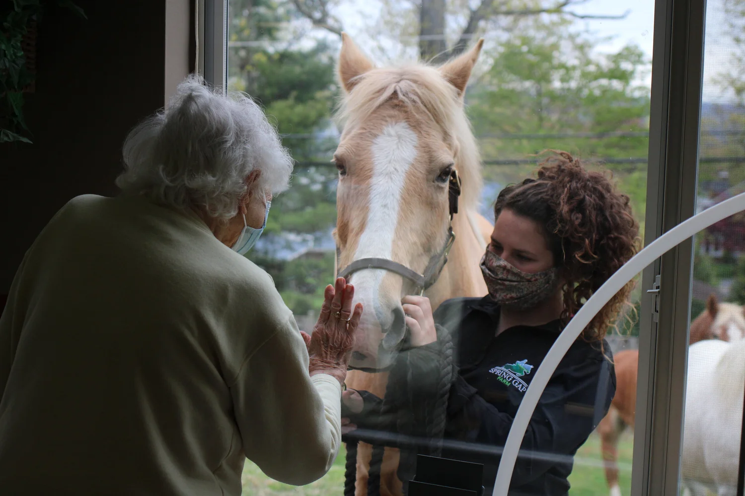 General 2 — Spring Gap Farm