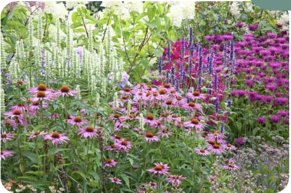 Love Your Landscape