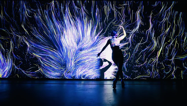 The Best Immersive Art Experiences in San Antonio, Texas — Sarah ...