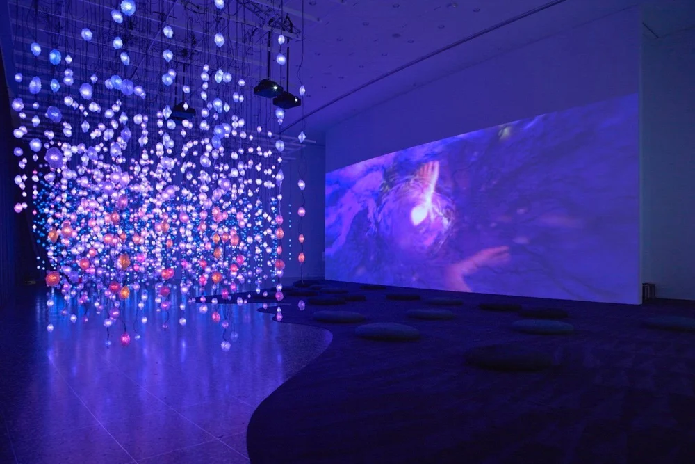 The Best Immersive Art Experiences in Houston, Texas — Sarah Ransome Art
