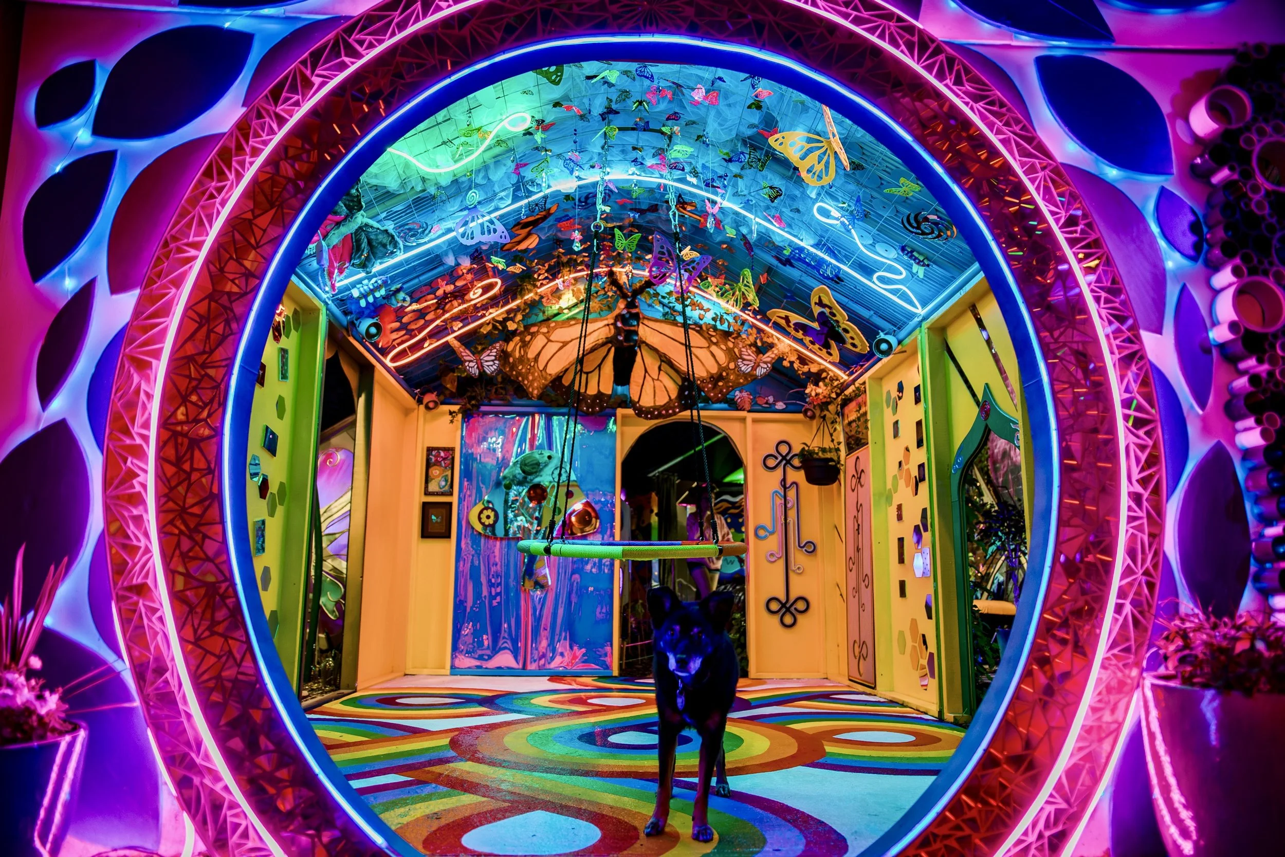 The Best Immersive Art Experiences in Denver, Colorado — Sarah Ransome Art