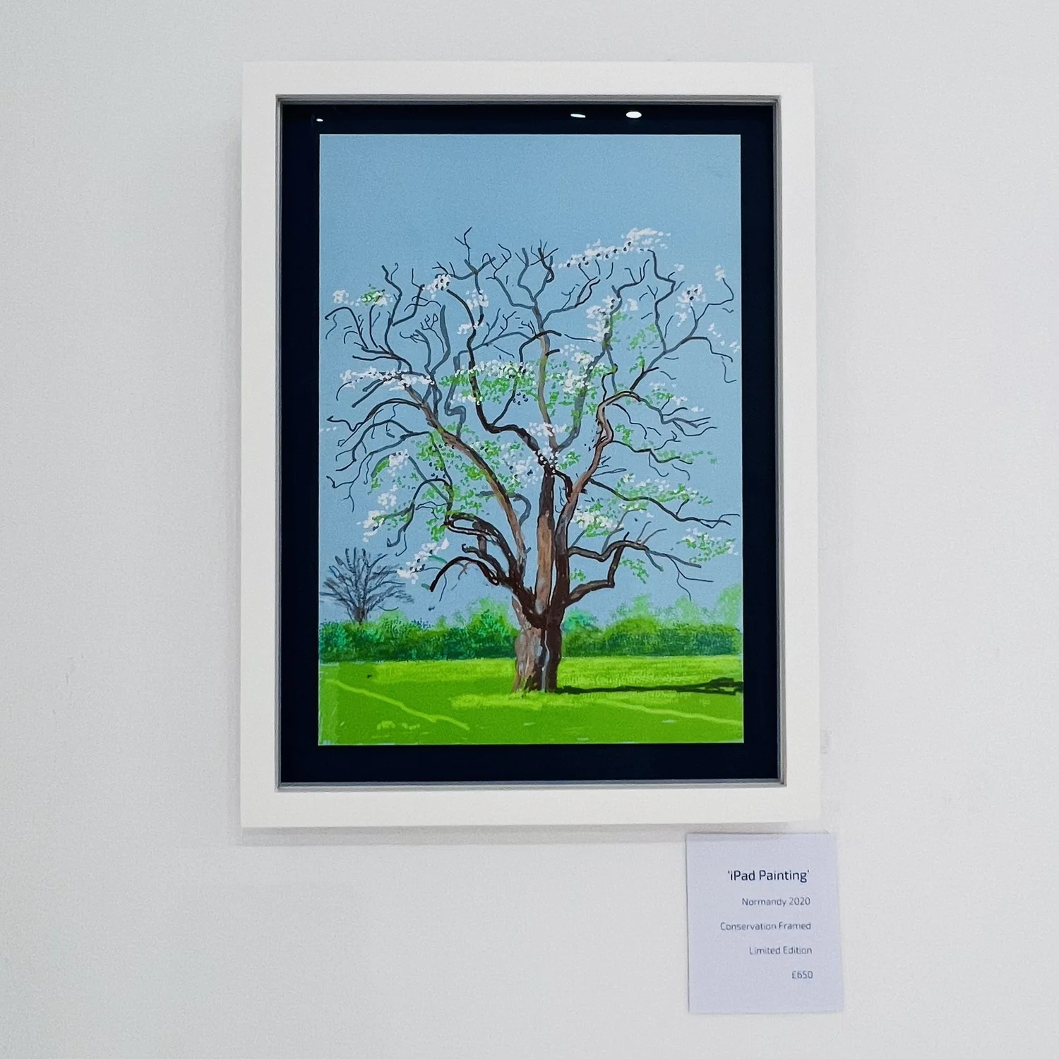 The Life and Art of David Hockney — Sarah Ransome Art