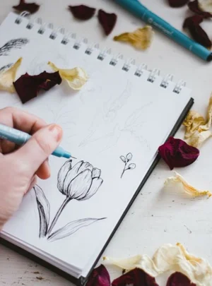 How to come up with more inspirational drawing ideas — Sarah Ransome Art
