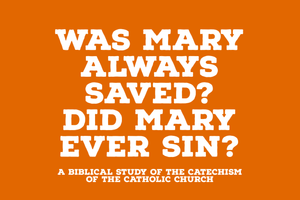 What about Mary's sin? — The Catholic Blog