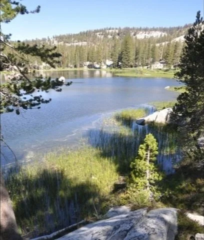 Golden Trout Wilderness — Tahoe Fly Fishing