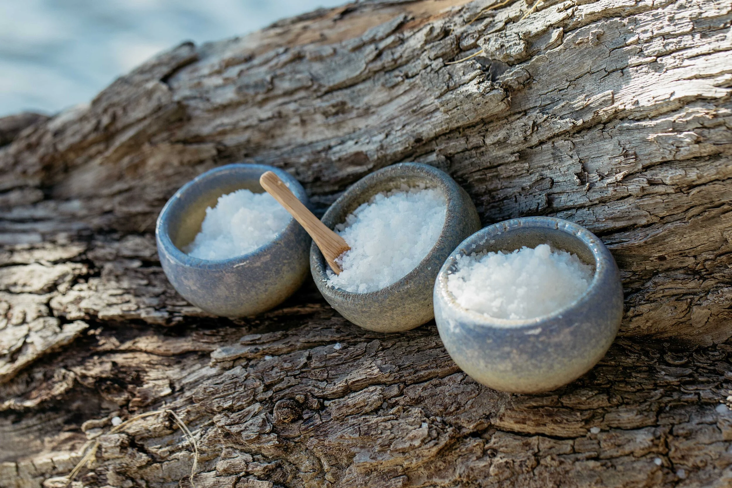 Shop — Opito Bay Salt Co.