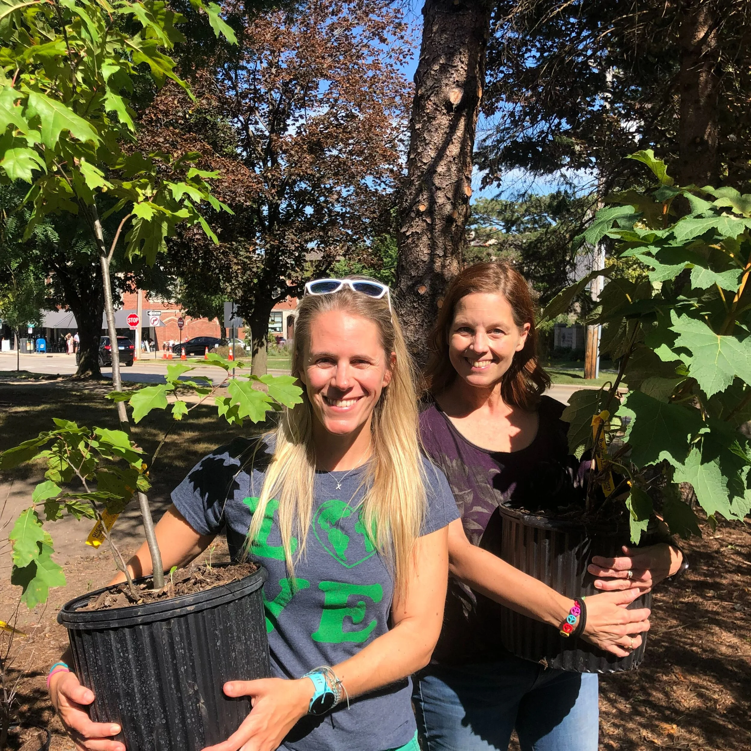 Who We Are — Go Green Glen Ellyn