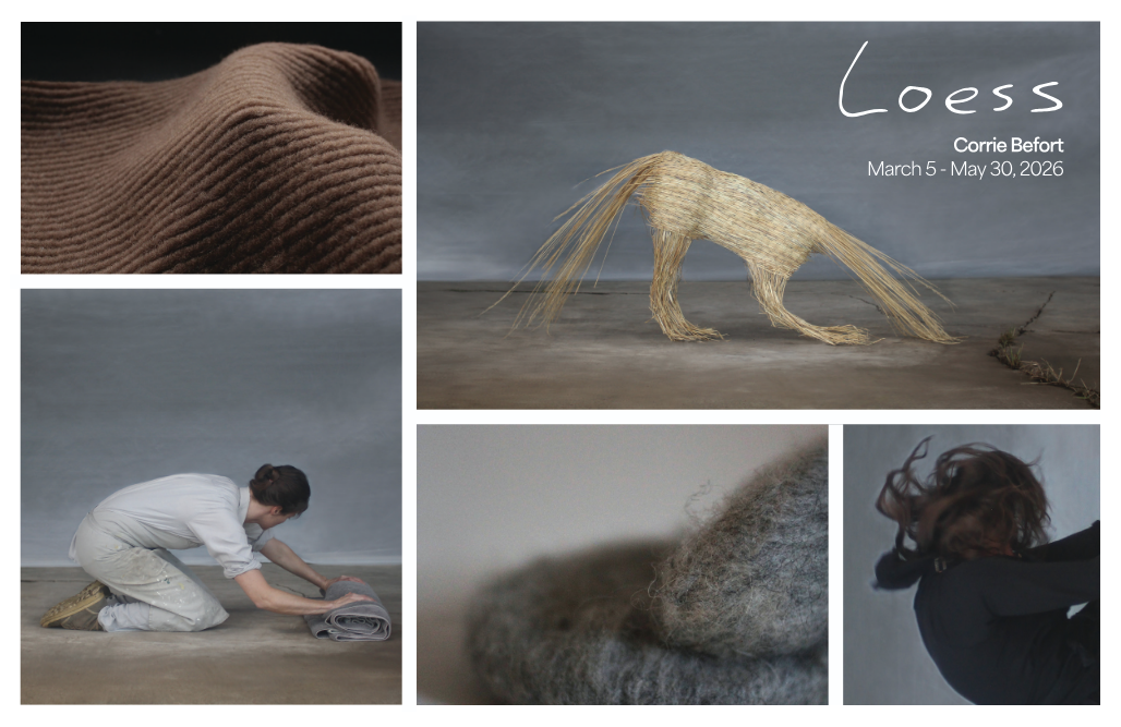 Loess Opening Reception — MosCo