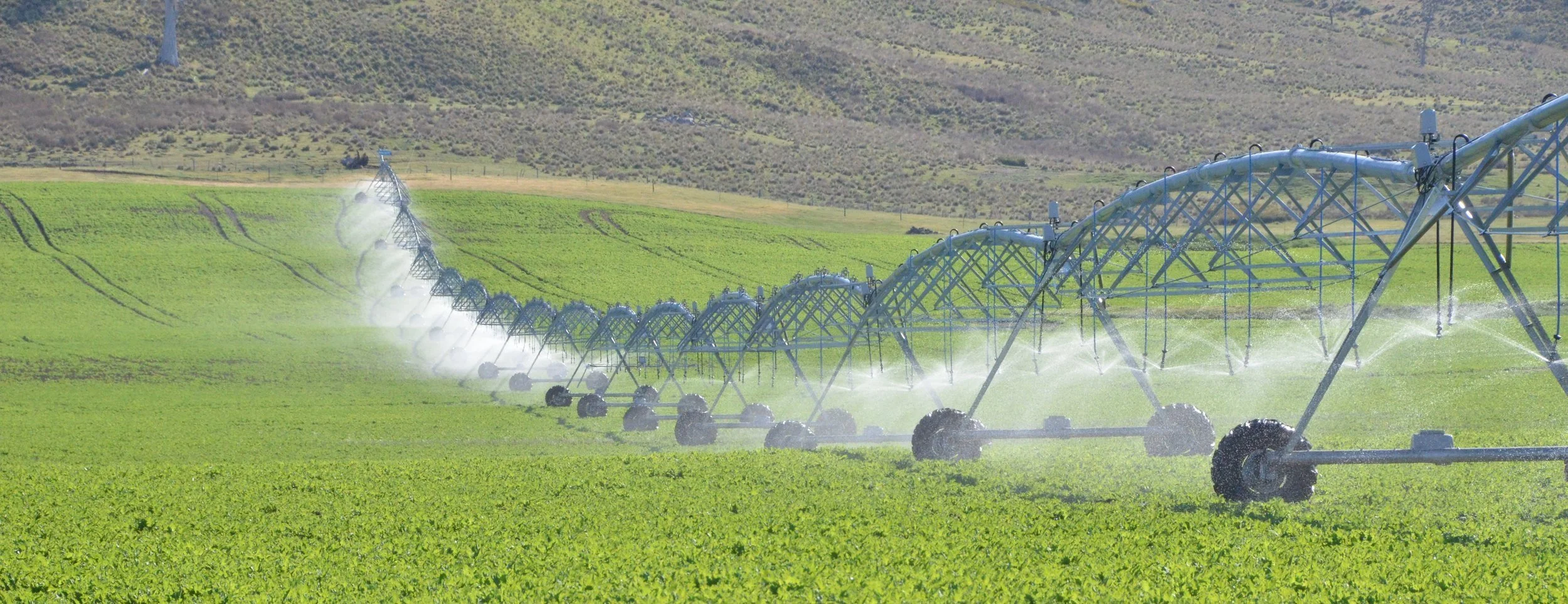 Ag Logic — Consulting and Advice