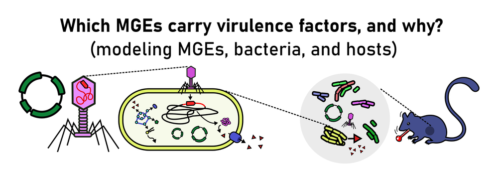 Projects — The Virtual Laboratory.com