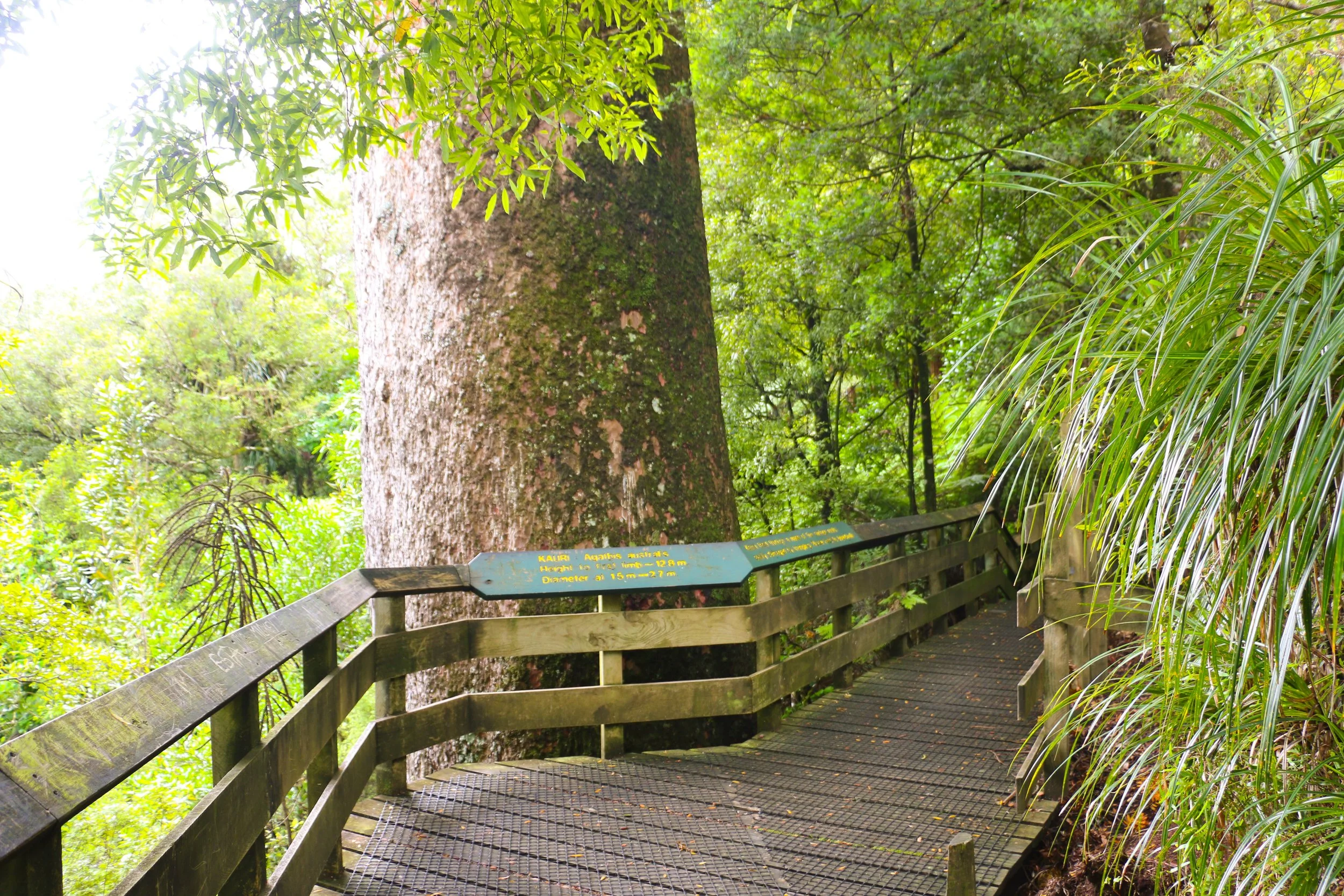 Gallery 3 — K A T I K A T I