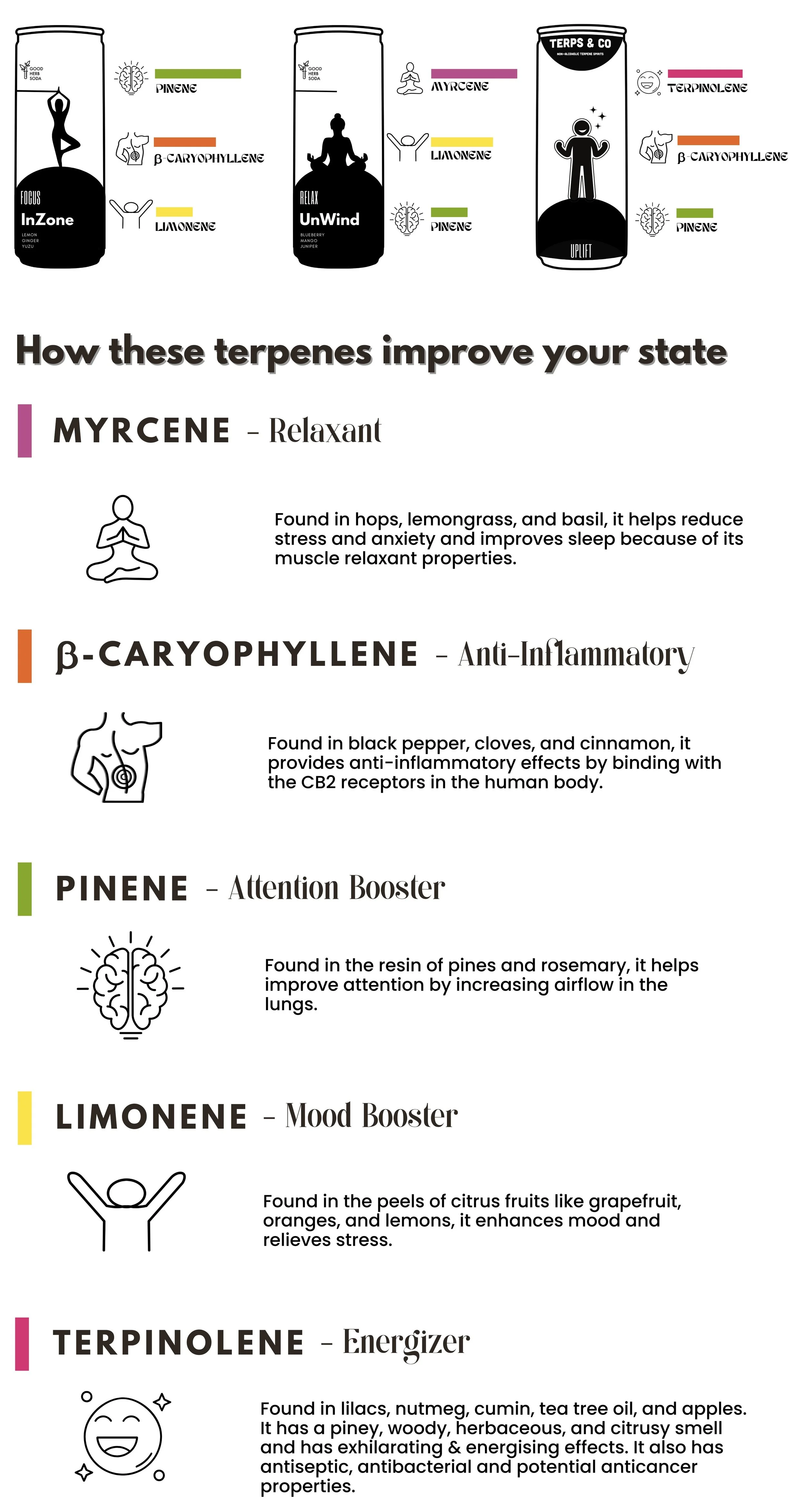 FAQ | Discover More Today — TERPS & CO