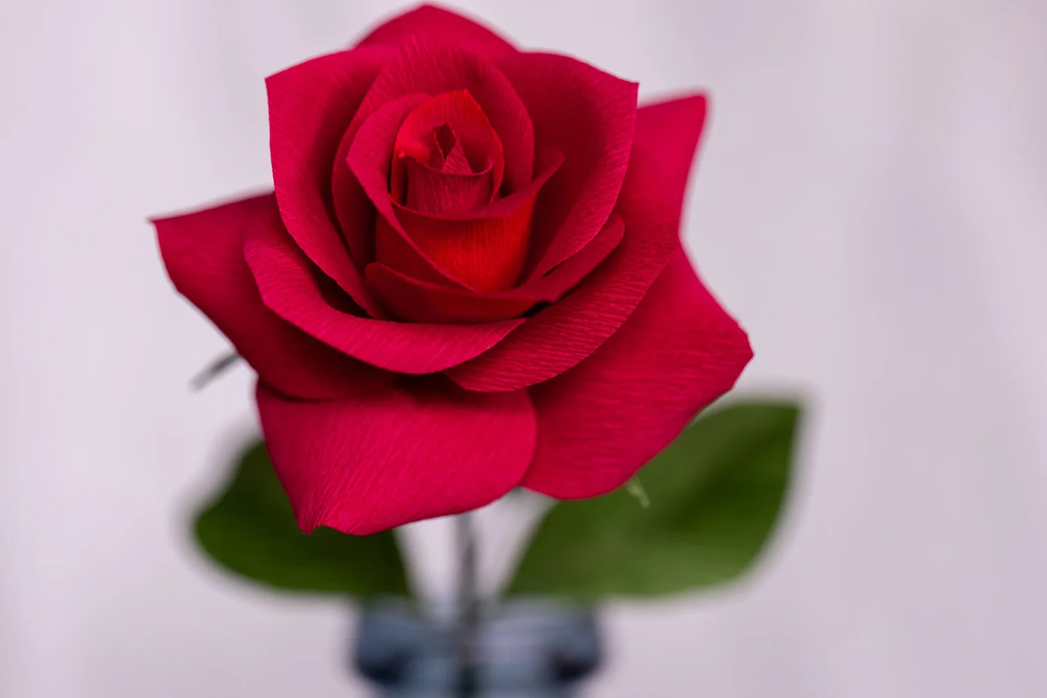 Individual flowers gallery — Petite Blossoms