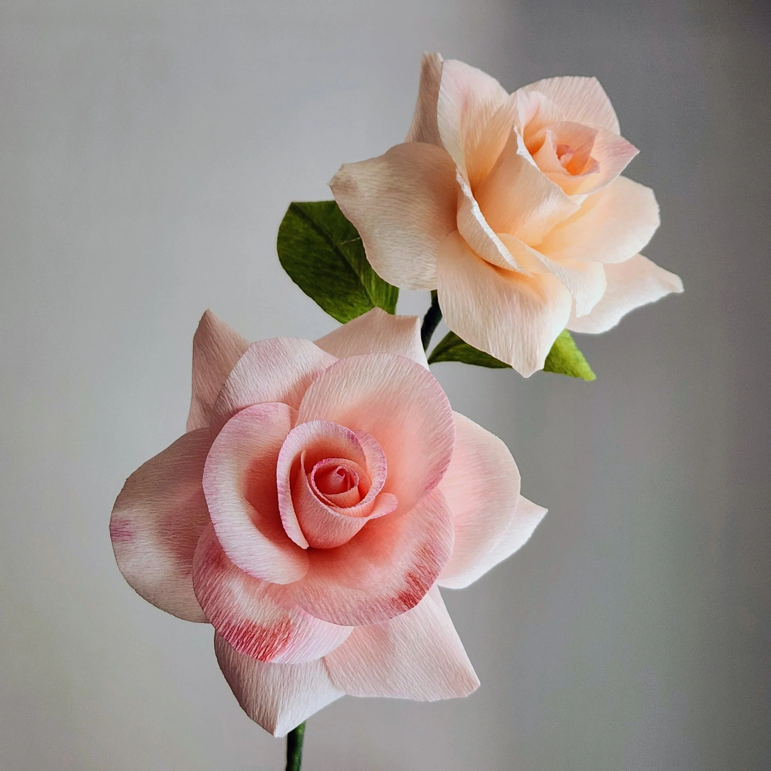 Individual flowers gallery — Petite Blossoms