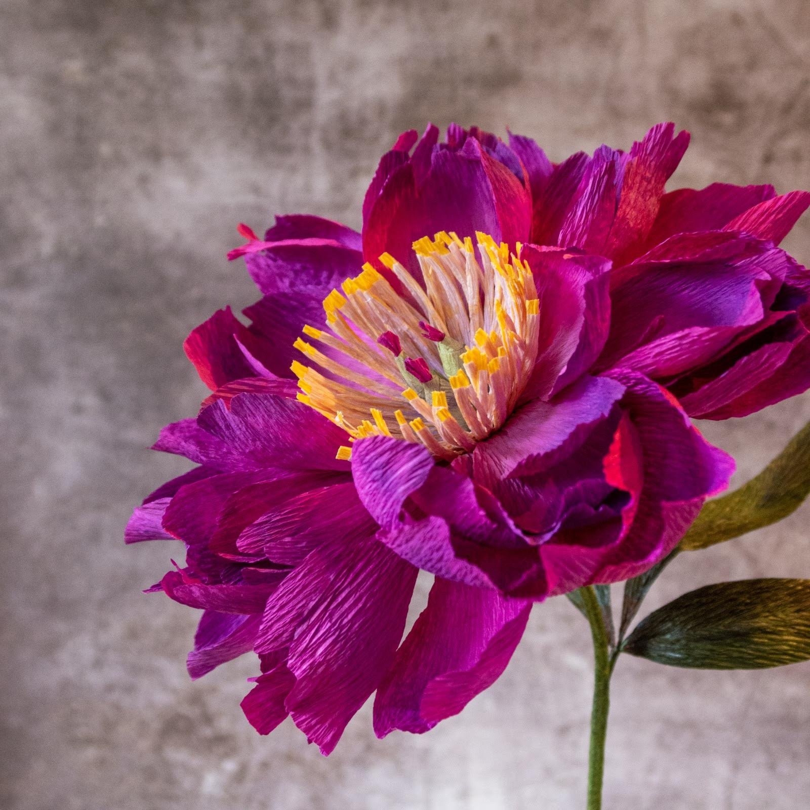 Individual flowers gallery — Petite Blossoms