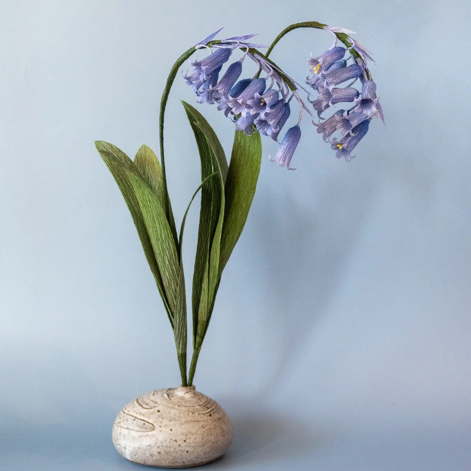 Individual flowers gallery — Petite Blossoms