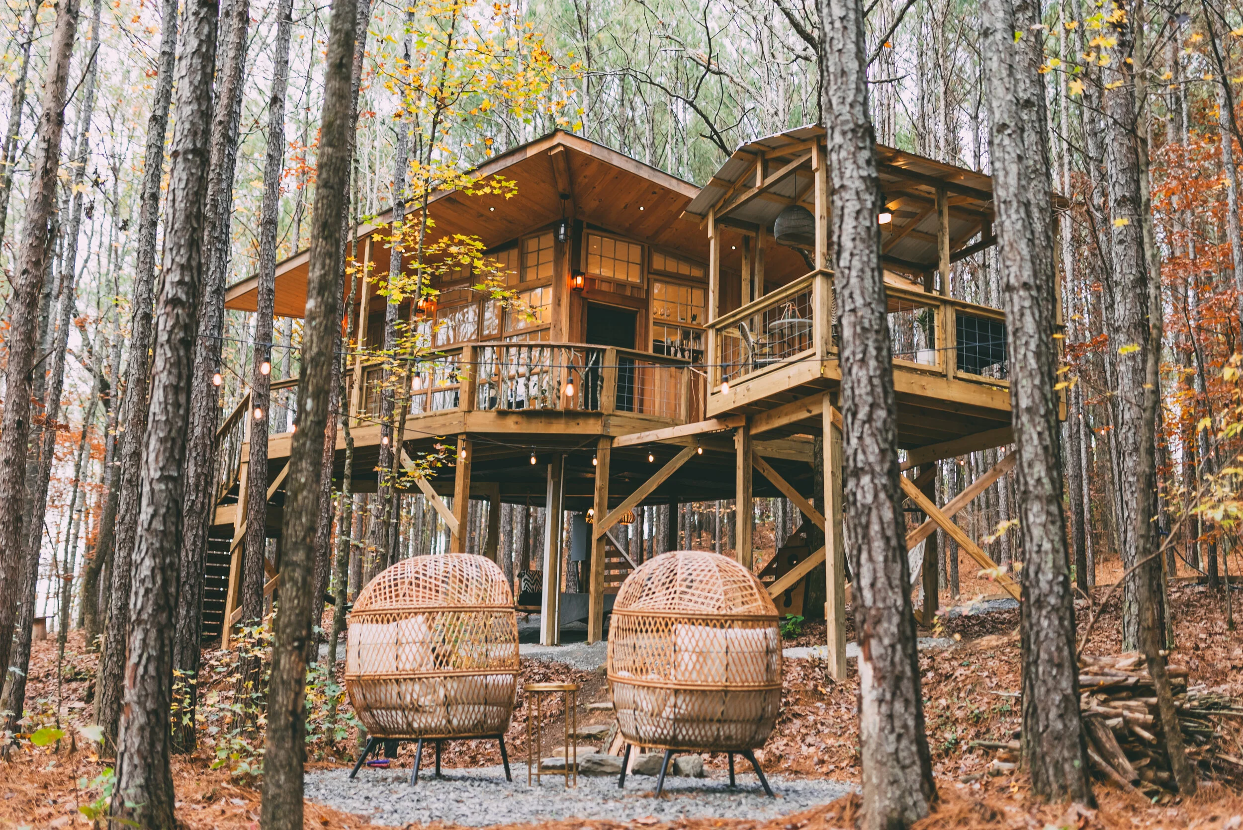 Best Treehouse Airbnbs — Levi Kelly