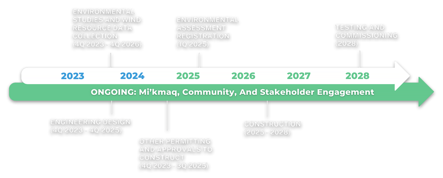 Renewable Energy — Bear Head Energy