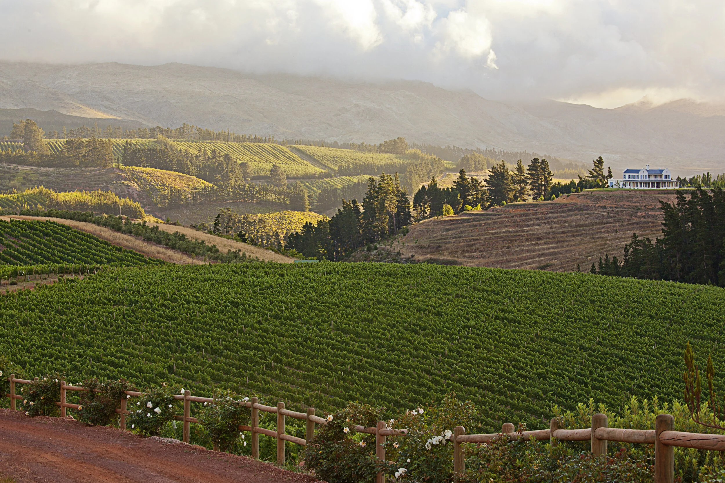 ONEIRIC WINE ESTATE