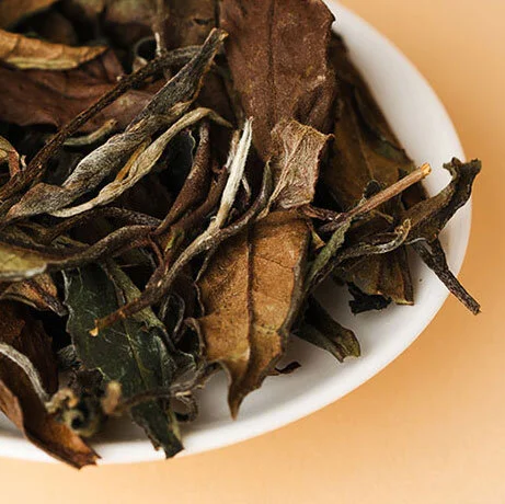 Volition Tea | Single-Origin Loose Leaf Teas