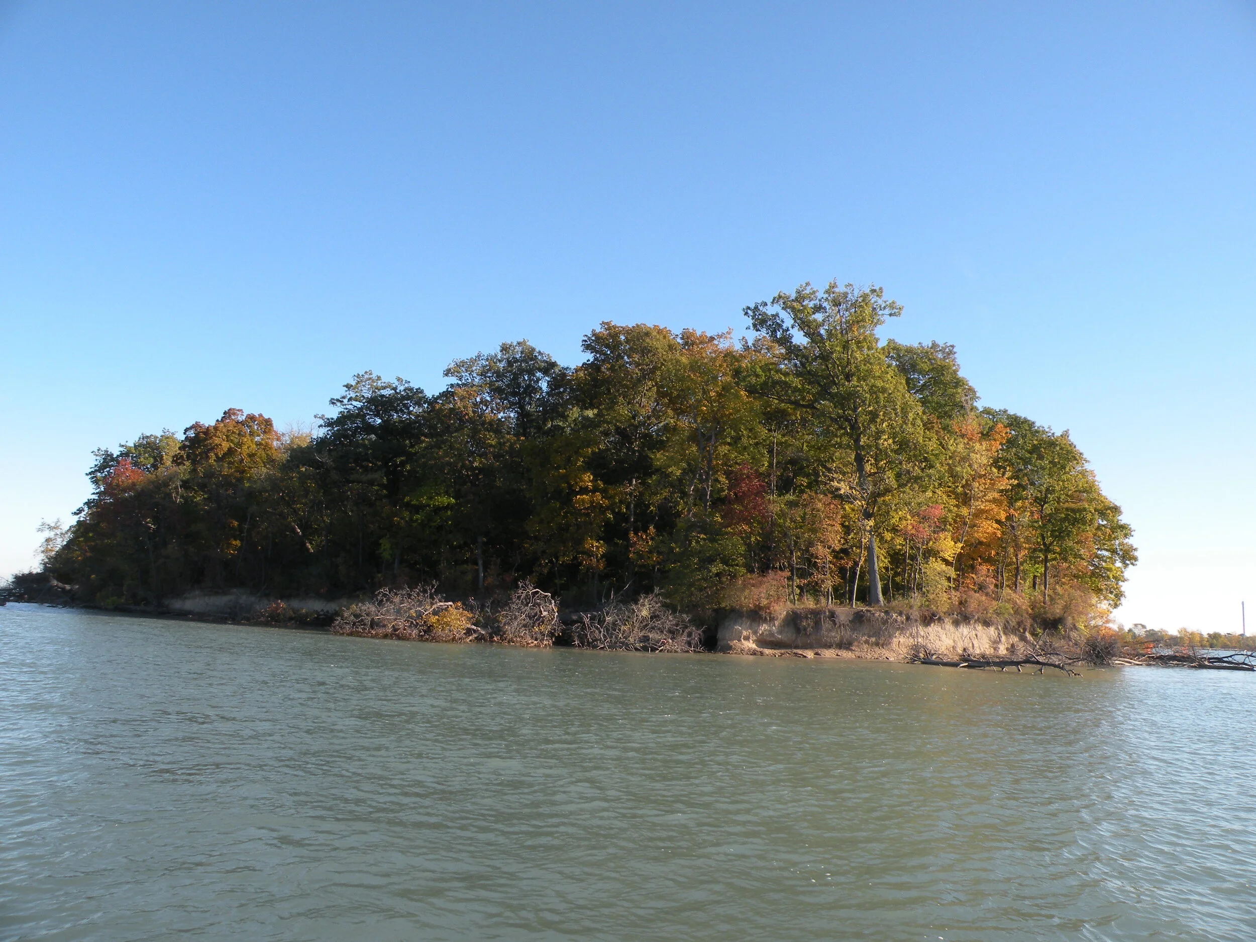 Sugar Island — Friends of the Detroit River