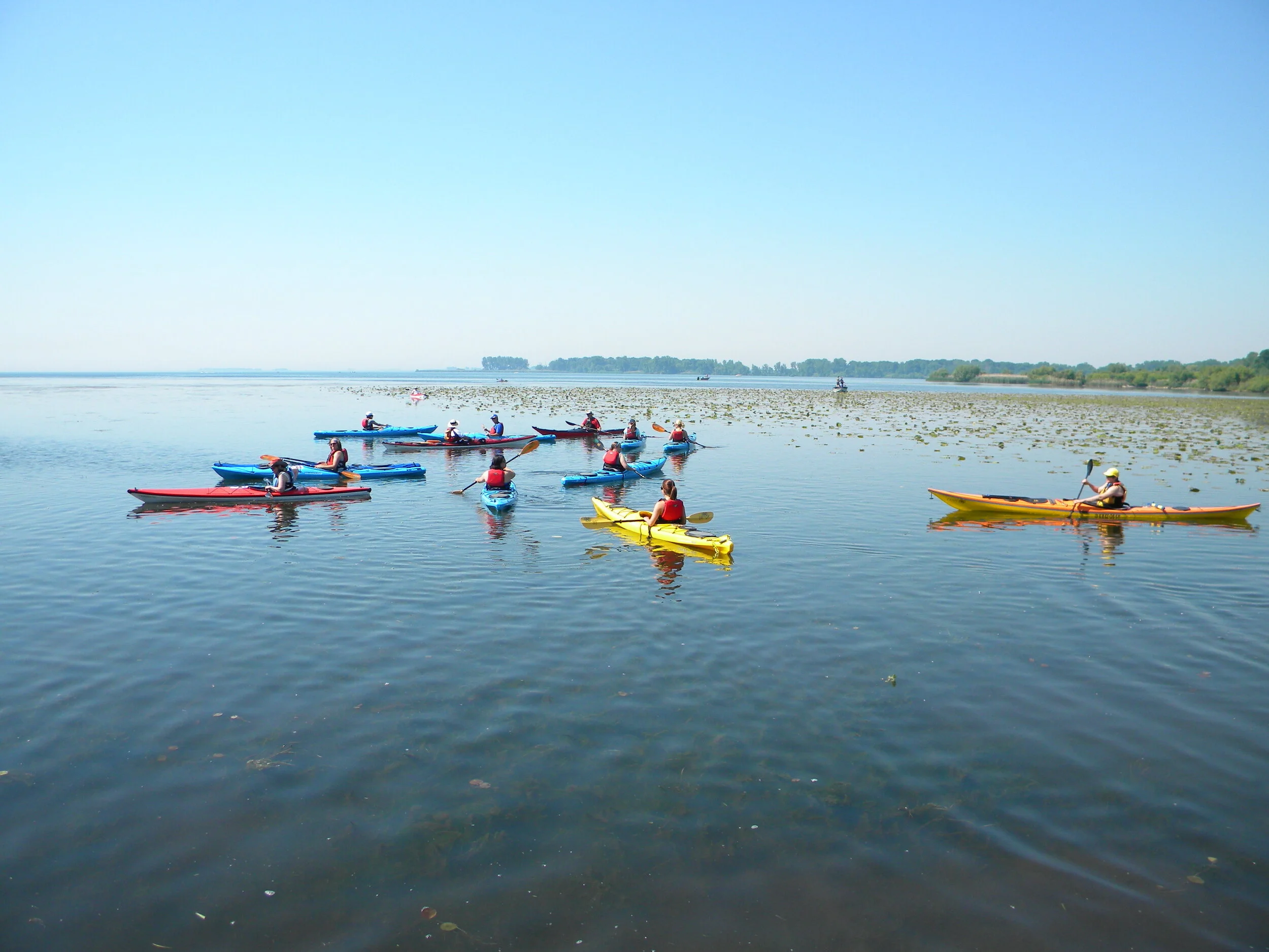 Friends of the Detroit River