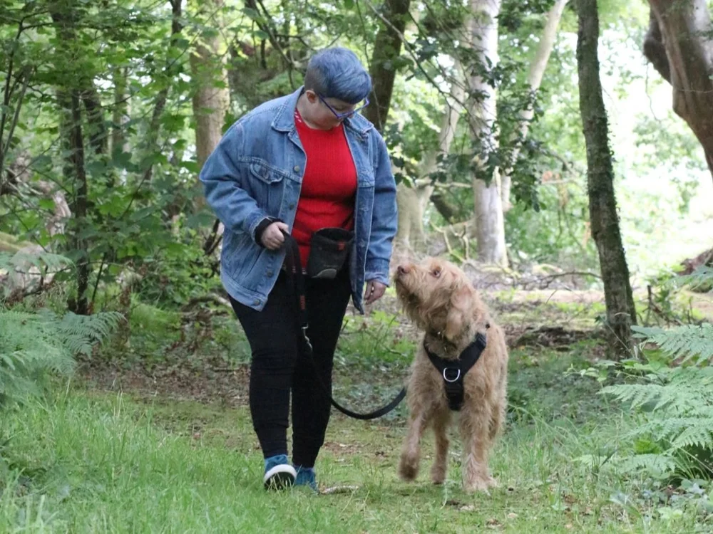 7 essential skills to teach your dog — Indigo Dog Training