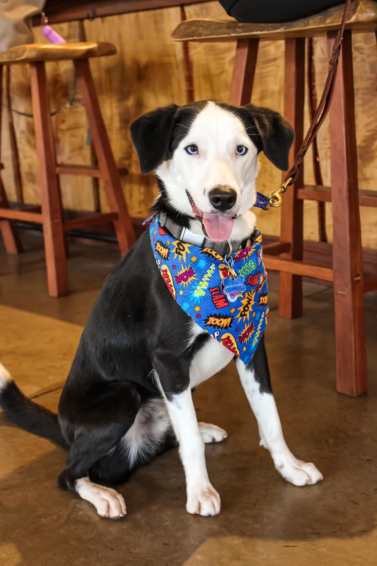 Visit Us — Mt. Defiance Cider & Distillery