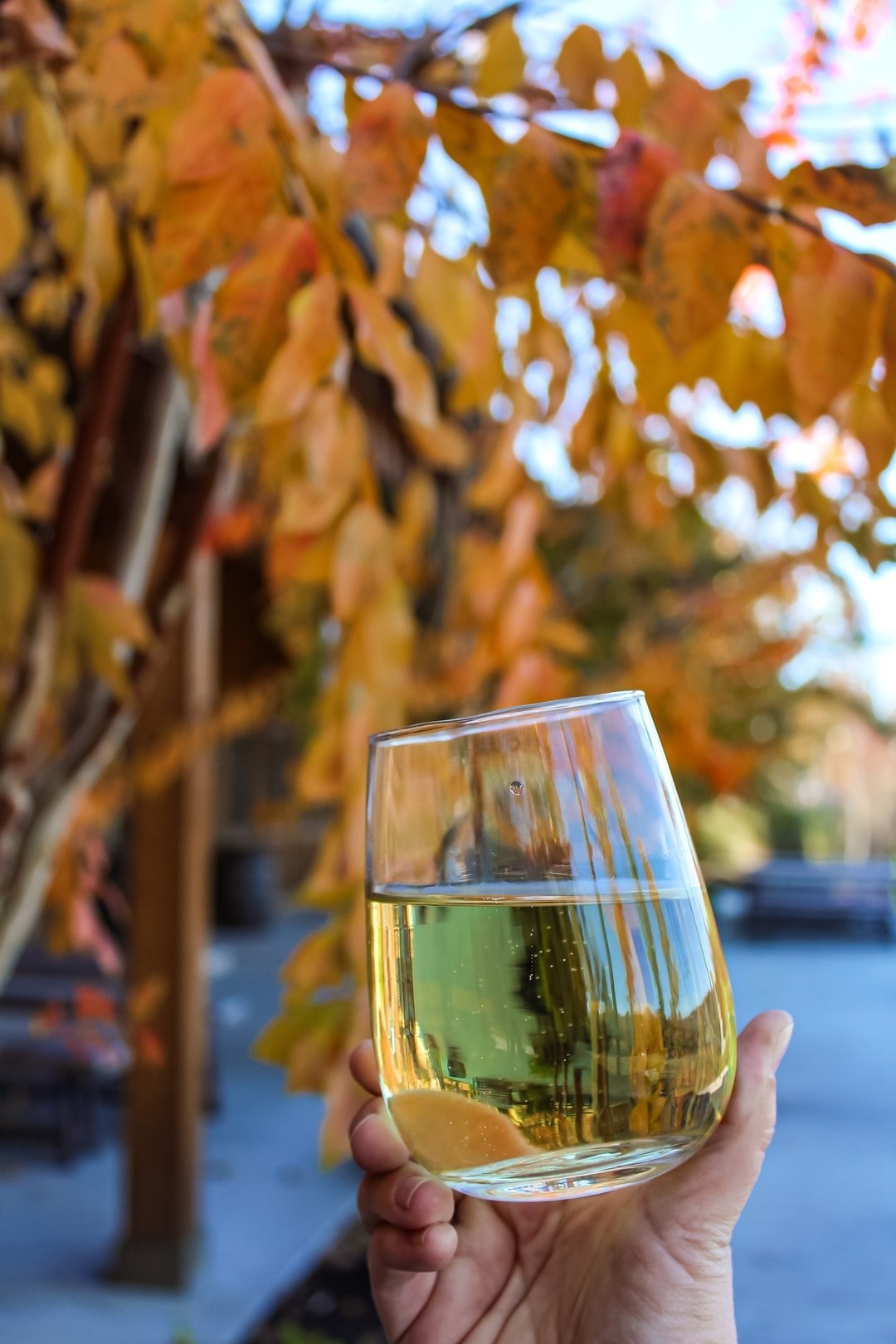 Mt. Defiance Cider & Distillery