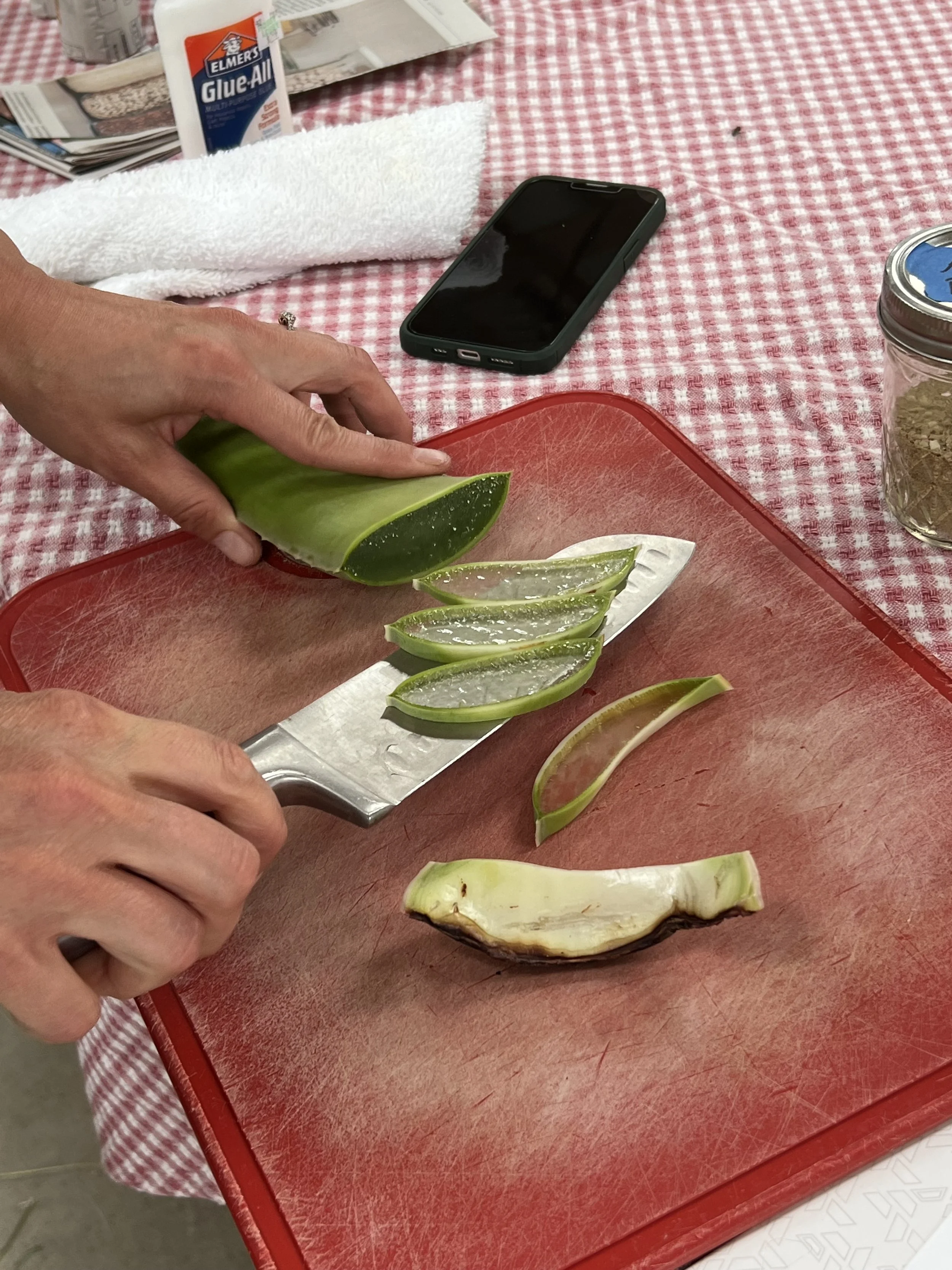 Chapter Leader Resource Page — Bionutrient Food Association - Nutrient Density From the Ground Up