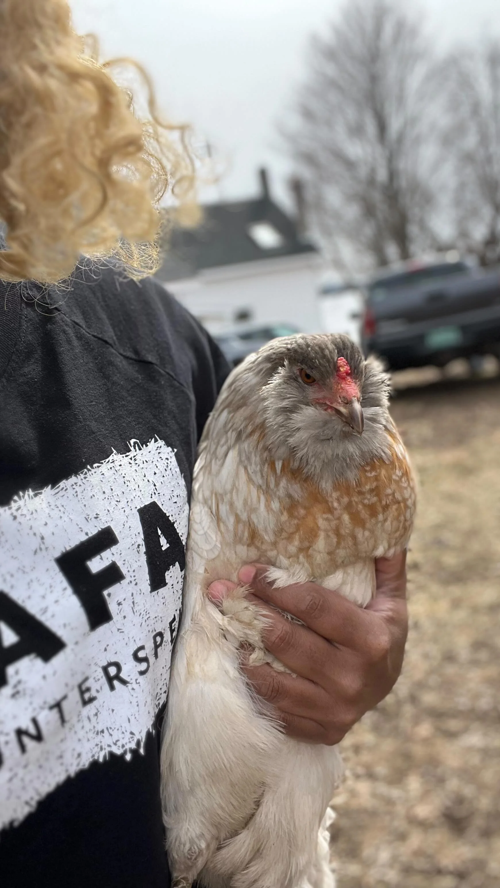 ZAFA Wines Vineyard & Farm