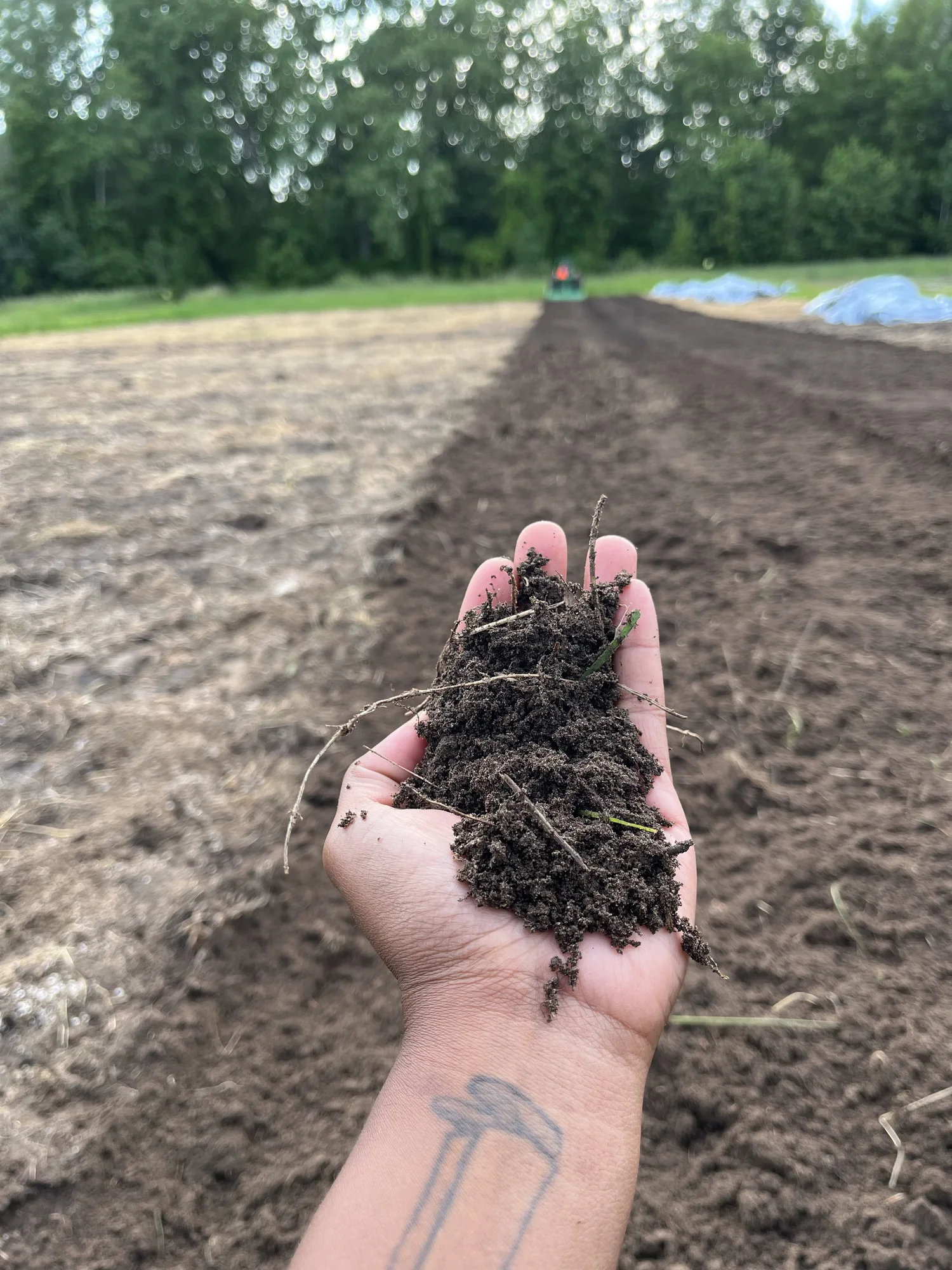 ZAFA Wines Vineyard & Farm