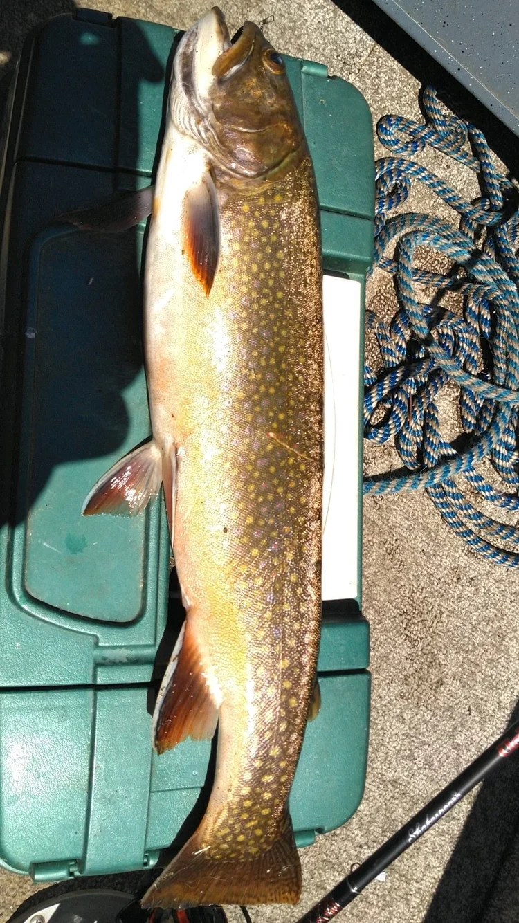 Guide Fishing — Crane Prairie Resort