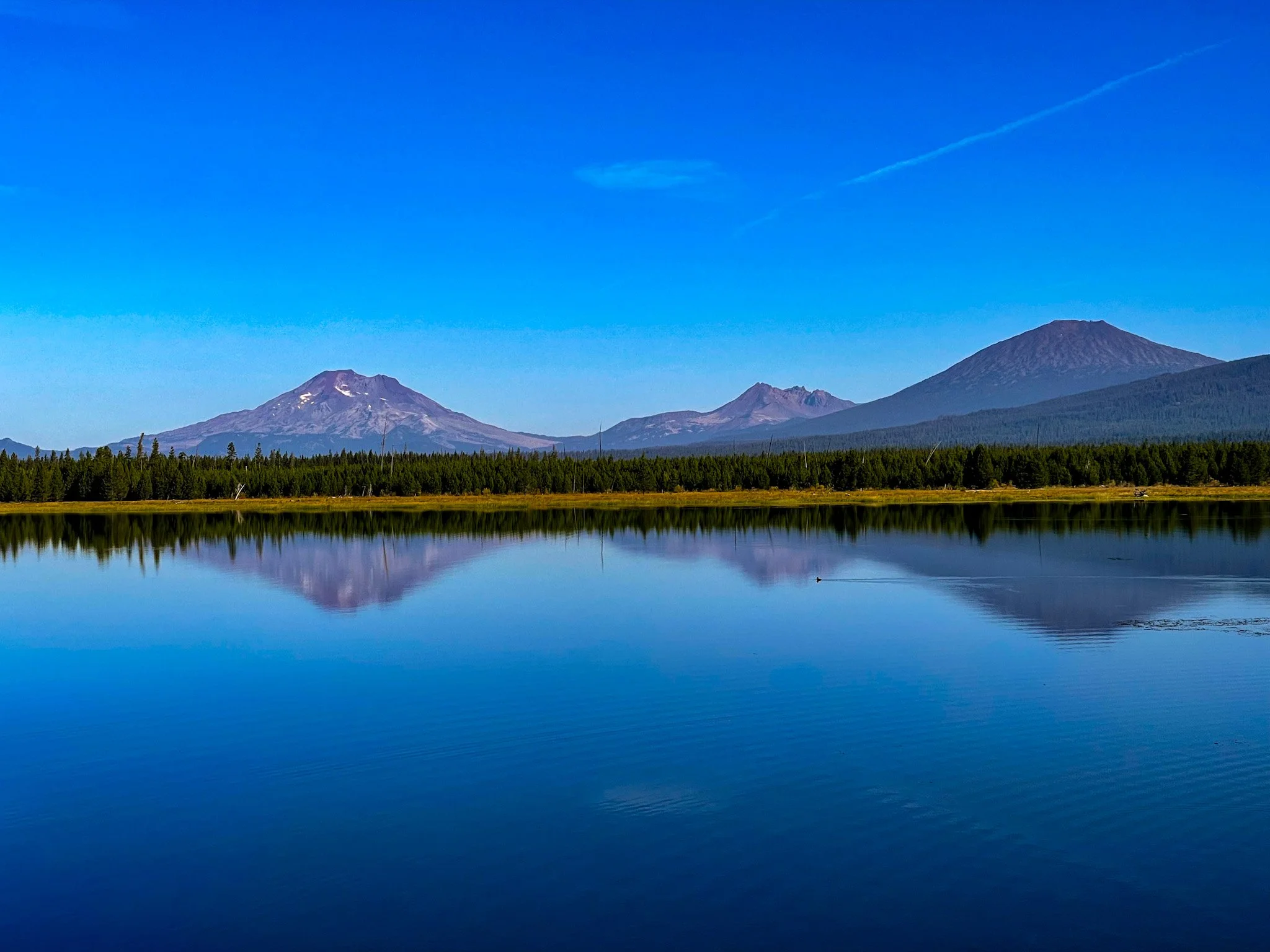 Crane Prairie Resort