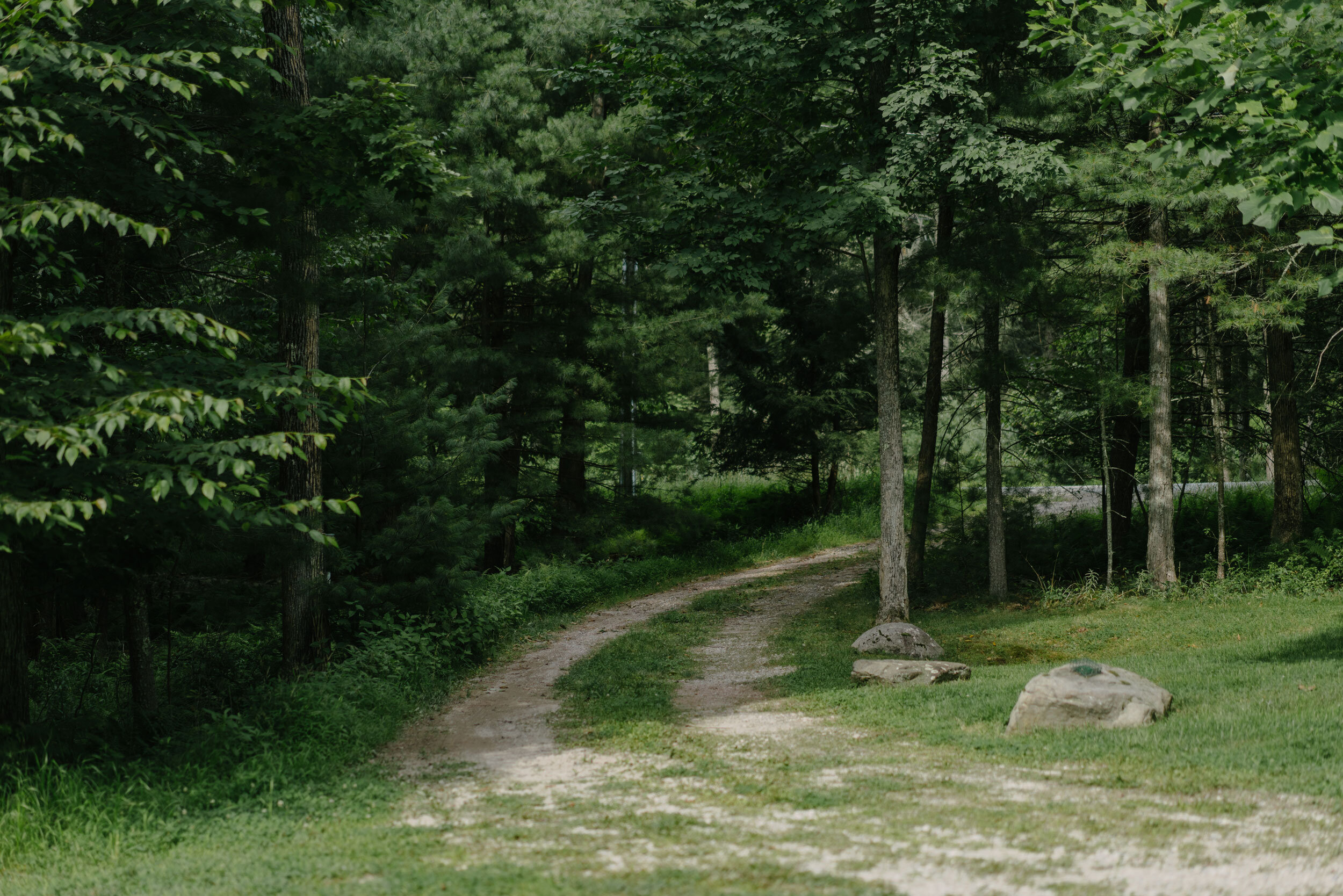 Explore — BLUEBERRY RIDGE HOUSE