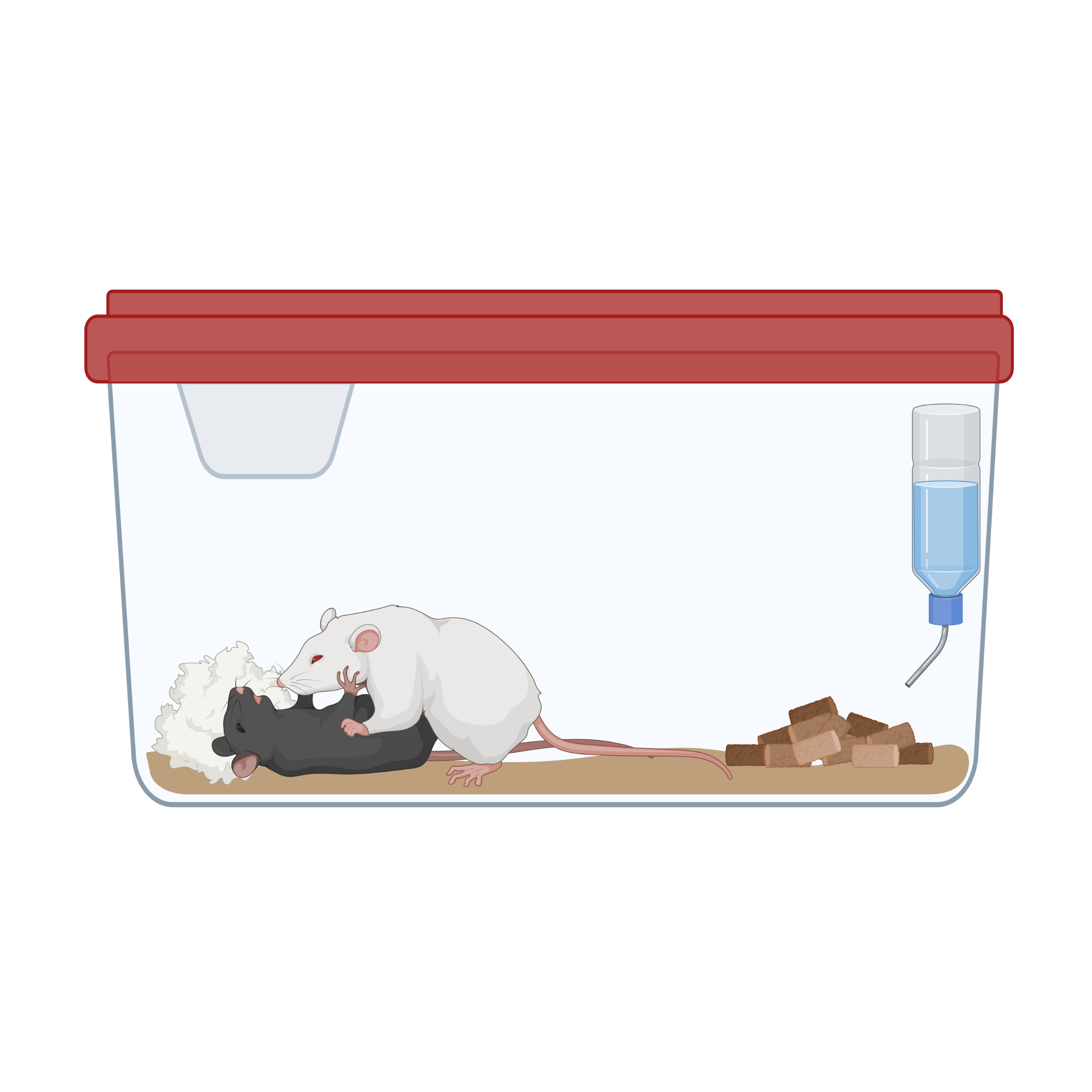 Techniques — Anacker Lab