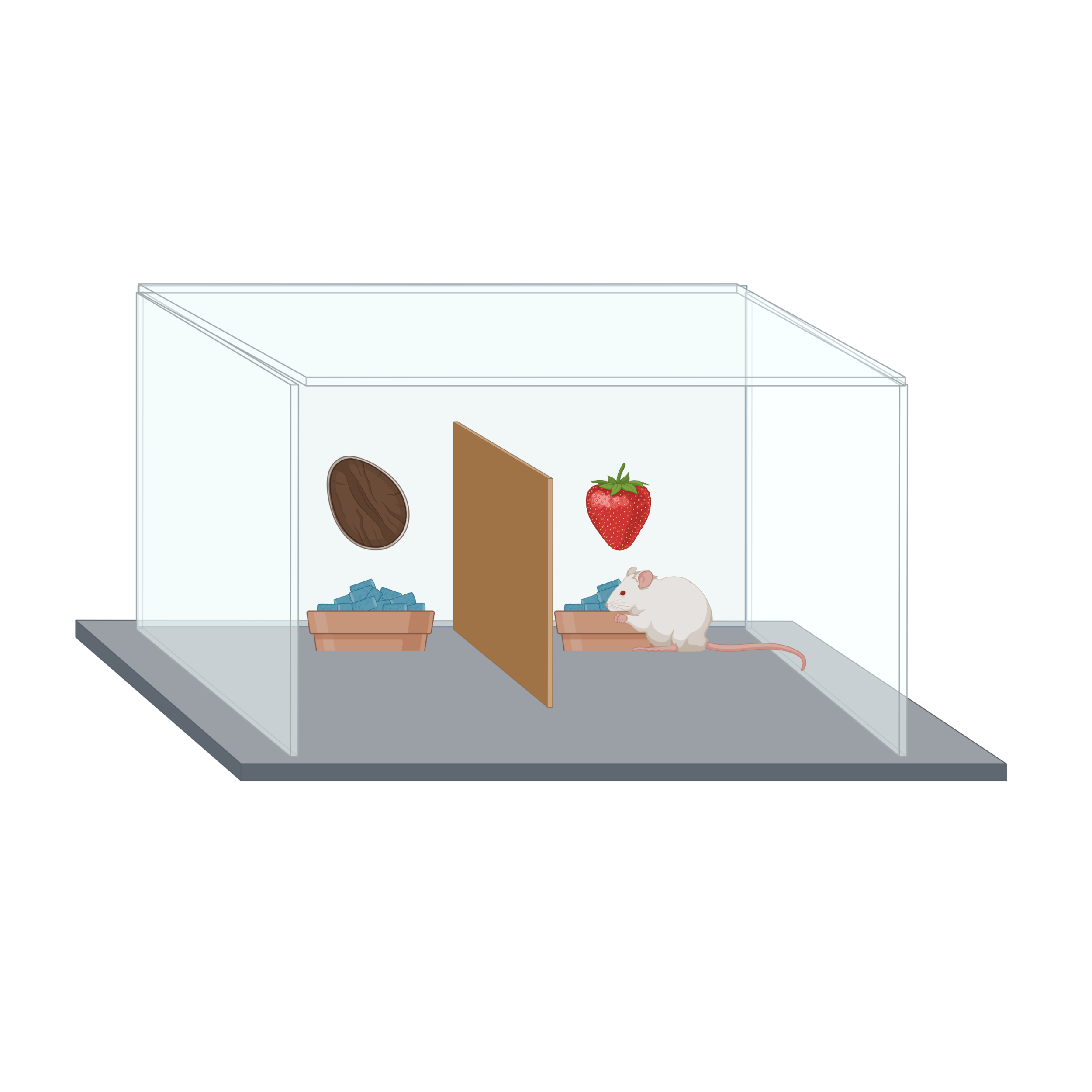 Techniques — Anacker Lab