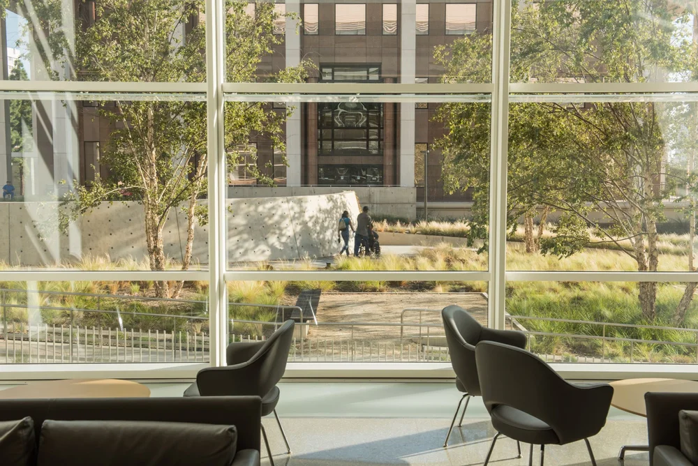 Edie & Lew Wasserman Building — Meyer Studio Land Architects