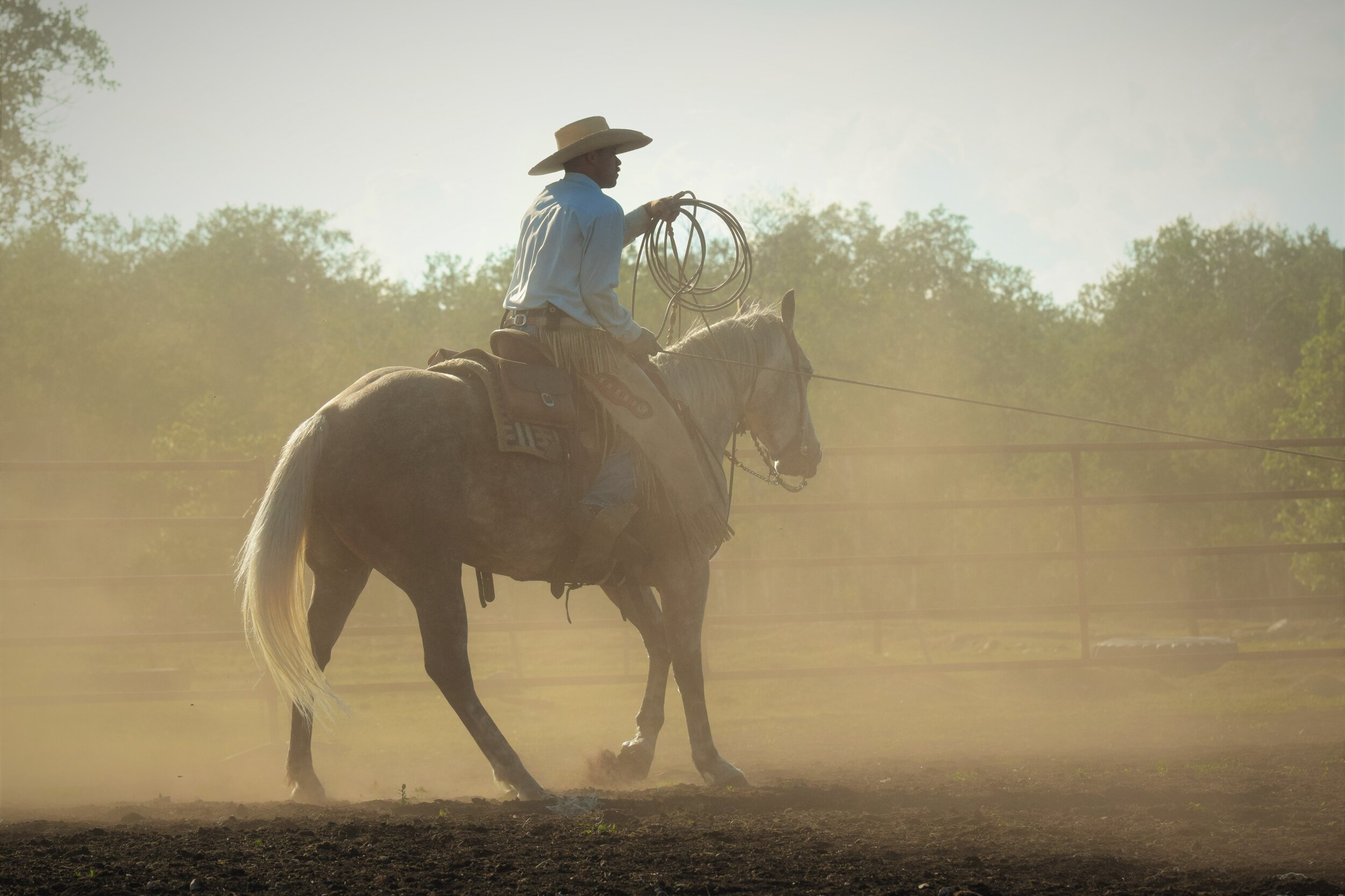 2J Ranch Horses -Ranch raised all around using horses for sale