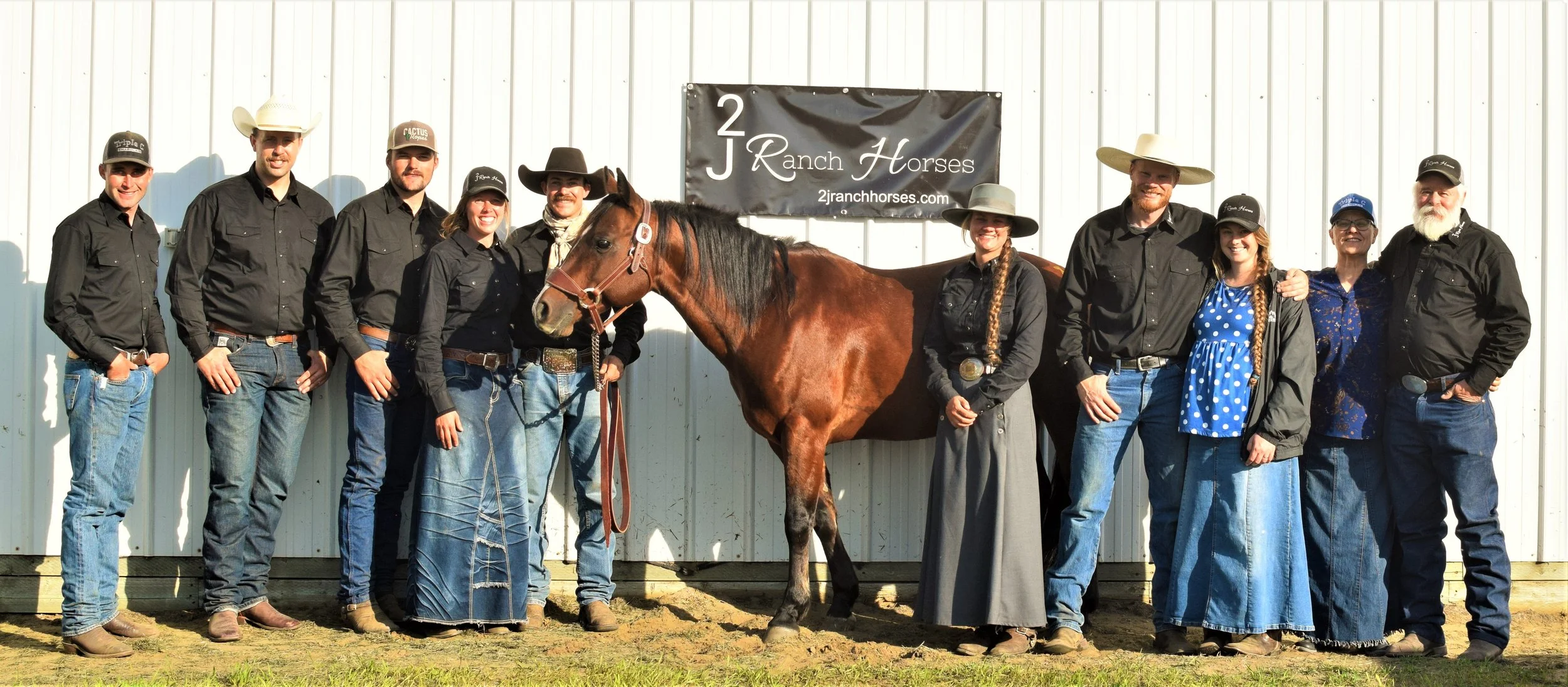 2J Ranch Horses, Ranch raised, all around horses for sale