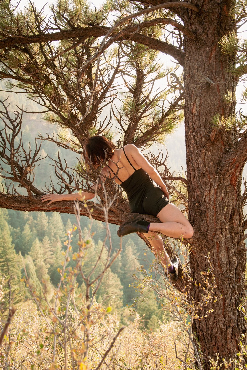 Control Group Productions