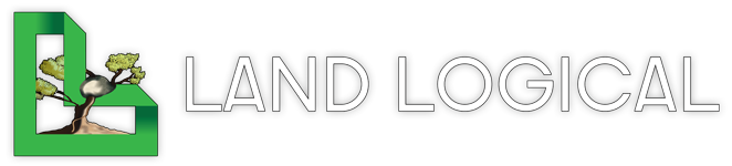 Transforming to Beautiful UK Woodland, Plant your forest today!