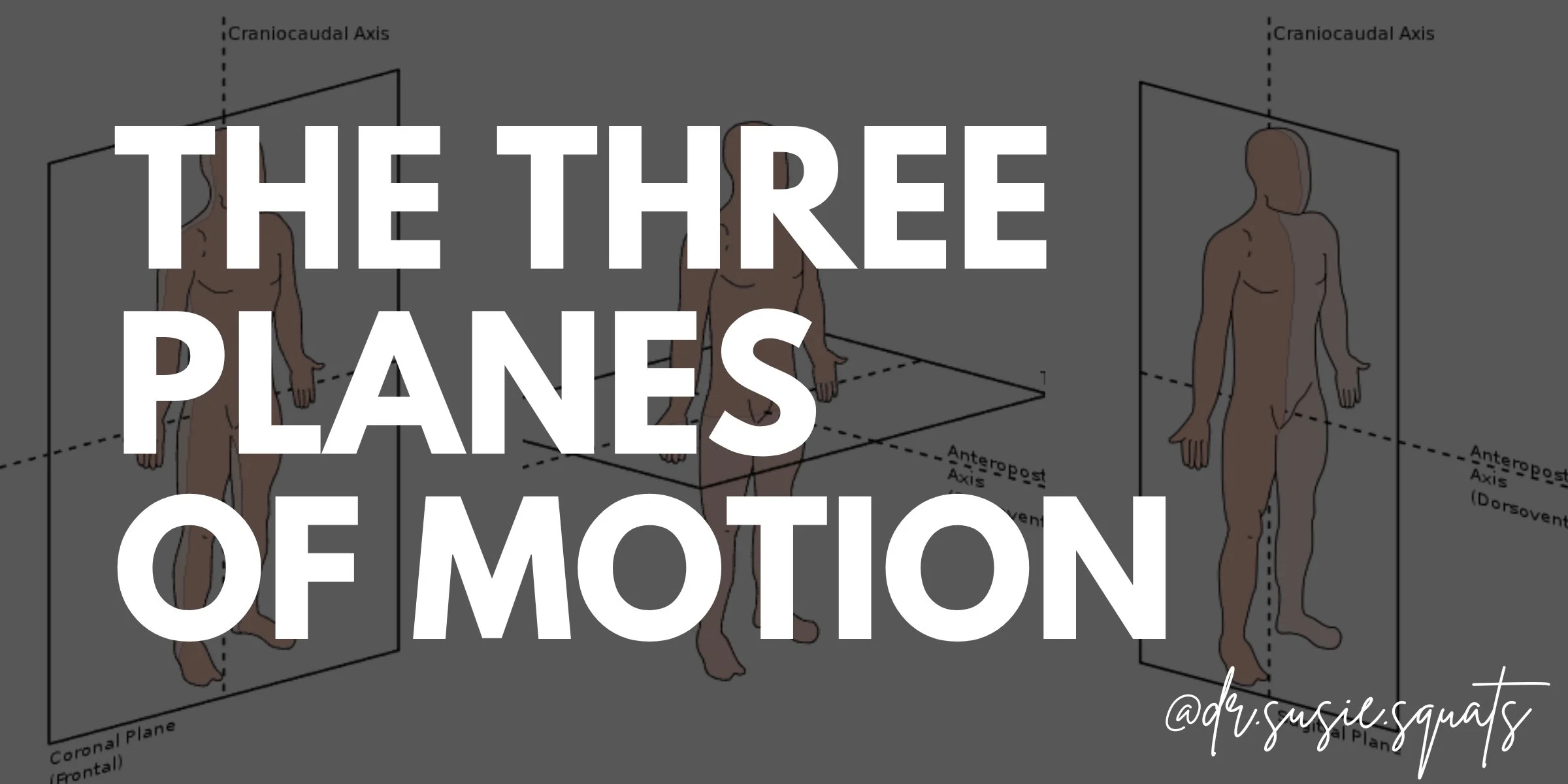 Articles — Move Your Bones