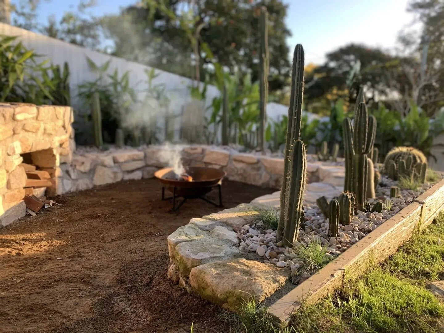 Online Cacti Shop & Cactus Landscaping - Cactus Culture Australia