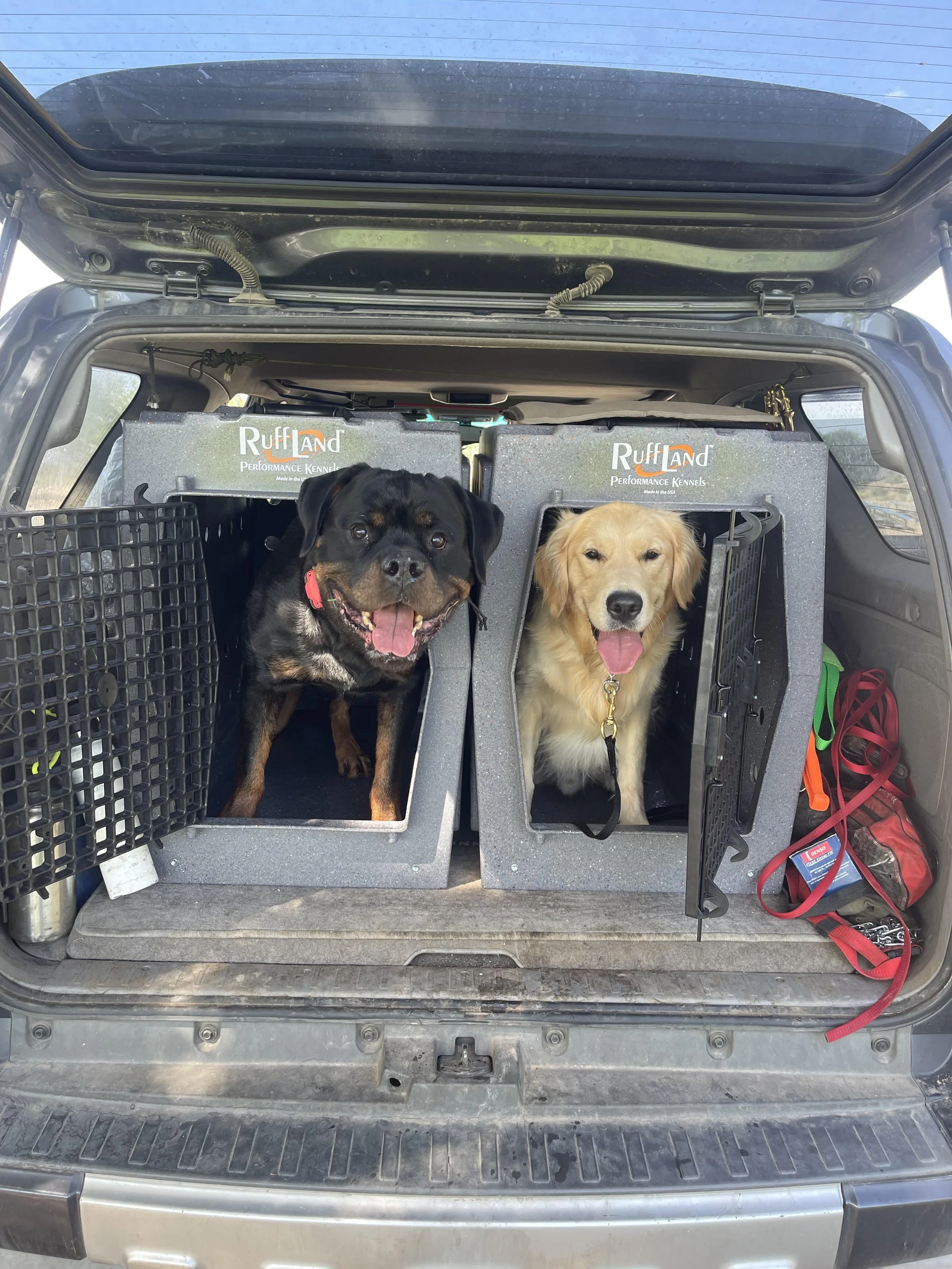 Pricing — Vegas Valley K9