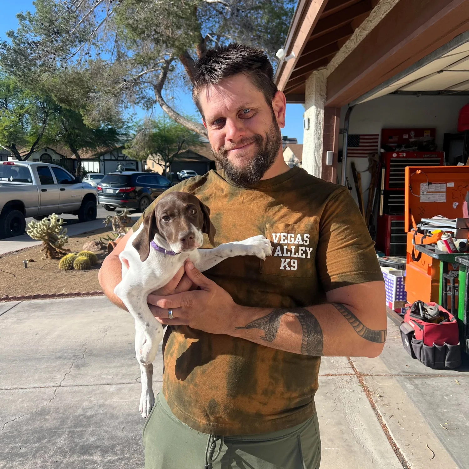 Pricing — Vegas Valley K9