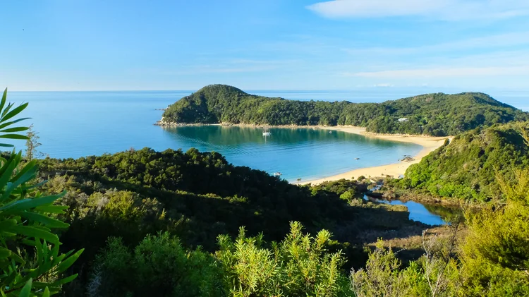 Understanting Te Taiao — Taiao Ora