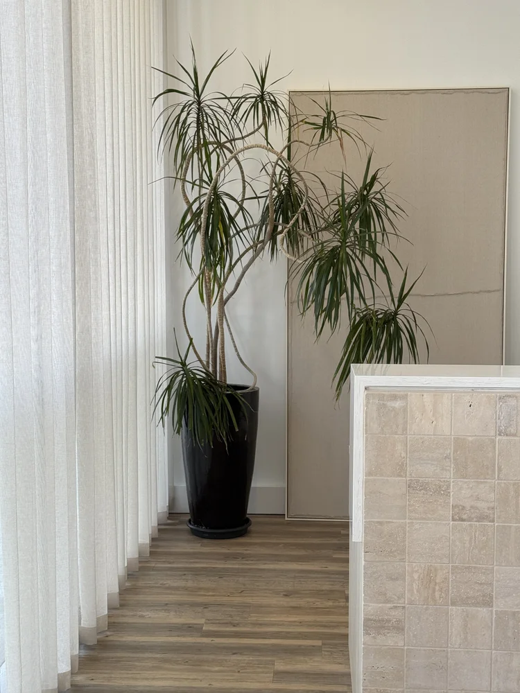 Contact 1 — the SOUL NURTURE SANCTUARY