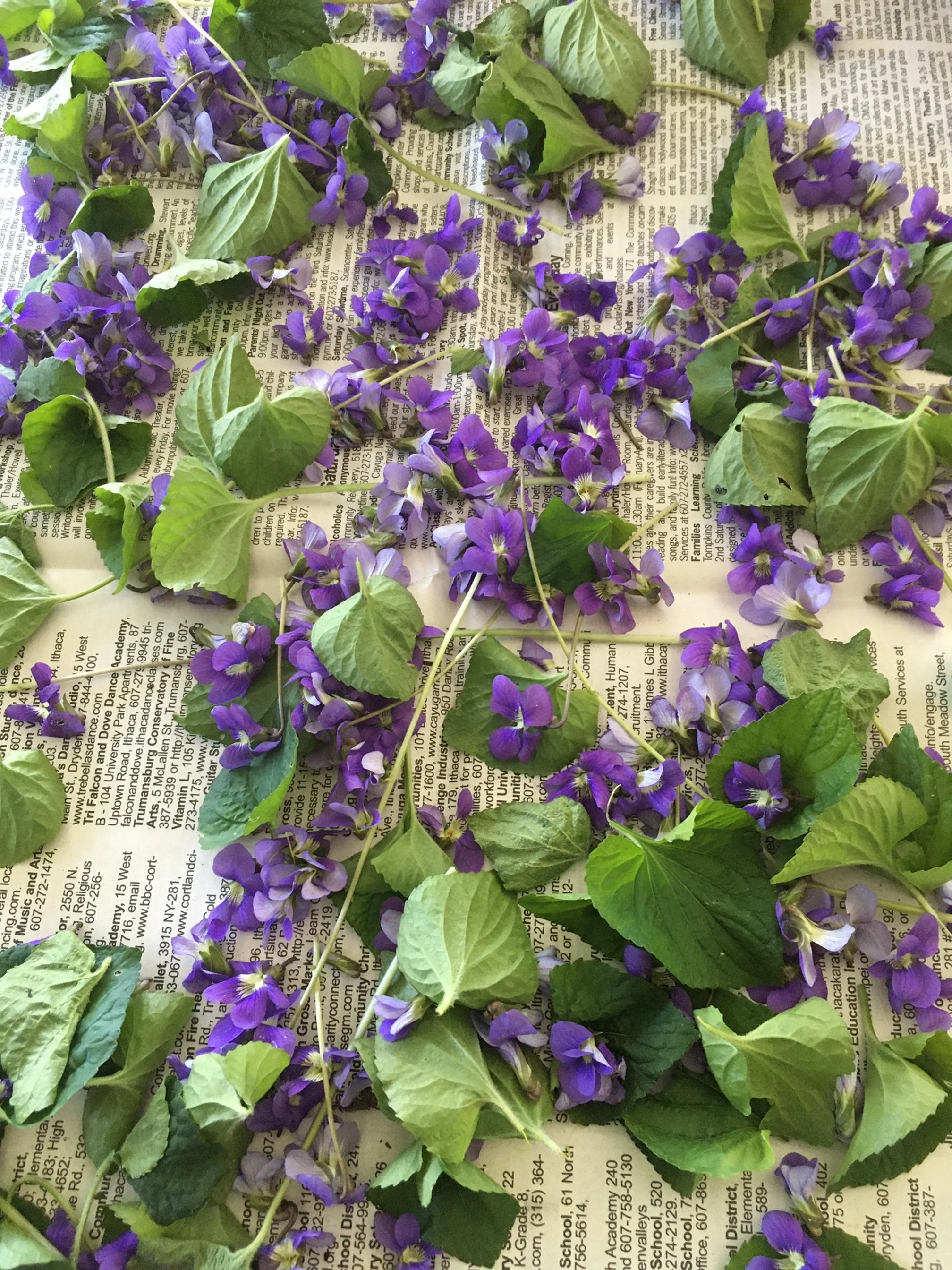 Online Store — Hawk Meadow Farm